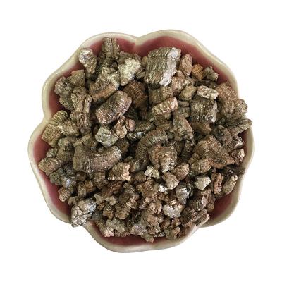 中国 ワルミキュライト の 増殖 ― 花 と 植物 の 栽培 を 成功 する の の 鍵 販売のため