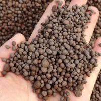 China Horticulture 8-16mm LECA Lightweight Expanded Clay Aggregate 10-35mm for sale