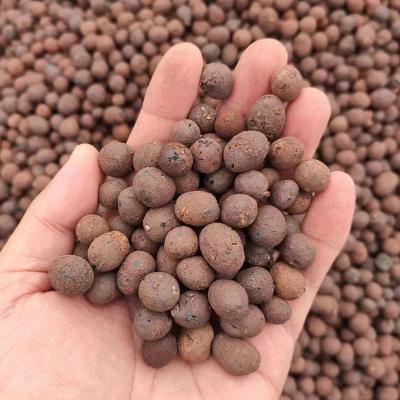 Cina LECA Hydroponics fabbrica sfere marroni leggere per l'orticoltura in vendita