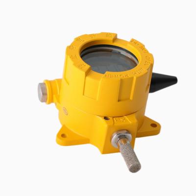 remote temperature probe