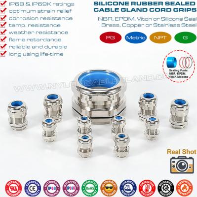 China Glandulas de cabo PG metálicas de latão de cobre IP68 com vedações de silicone azul resistentes ao calor e anéis O à venda