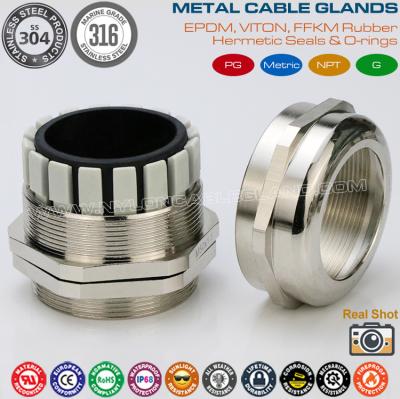 Cina Prensa cabo pressacavo PG acciaio inossidabile SS304, SS316, SS316L con guarnizione e o-ring in in vendita