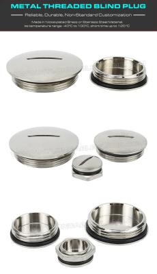 China 304, 316 Edelstahl (Brass) Runde oder Sechseckblinde Stecker Stecker mit PG7~PG48 & M12~M110 Gewinden zu verkaufen