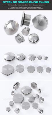 China 304, 316 Edelstahl (Brass) Runde oder Sechseckblinde Stecker Stecker mit PG7~PG48 & M12~M110 Gewinden zu verkaufen