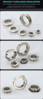 China PG, Metric, NPT, G Thread (Male/Female) IP68 Metal Reducers (Convertors, Adaptors, Reducing Nipples, Reduction Fittings) Te koop