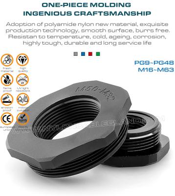 China Hex Plastic Reducers Male to Female Thread PG9~PG48 & Hex Nylon Reducing Bushings Male to Female Thread M16~M63 voor elektrische apparatuur Te koop