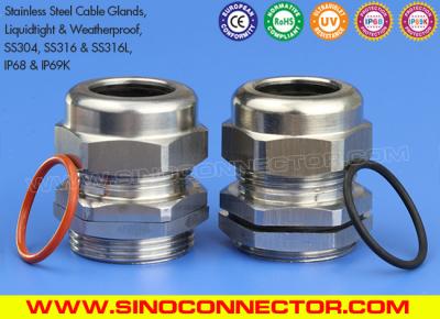 Cina Pressacavo PG9 in acciaio inossidabile SS304, SS316 e SS316L, connettore pressacavo ermetico IP68 per cavo da 4-8 mm in vendita