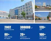 China Huayu 2-Layer HDPE Kayak Blow Moulding Machine 2200KN Clamping Force for sale