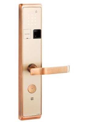 Cina Impronta digitale / codice / carta / chiave di chiusura digitale biometrica in vendita