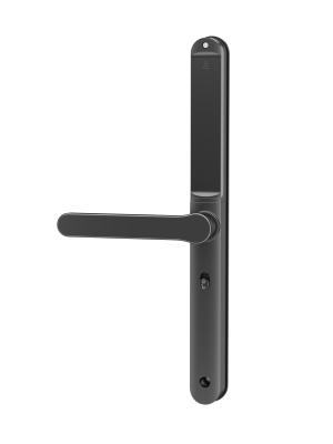China Bluetooth vingerafdruk Passcode Deur slot Waterdicht Hof Met Gateway Control Te koop
