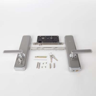 Cina Chiusura a codice Smart APP dipinta per hotel residence L335mm*W70mm*H25mm in vendita