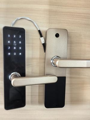 Cina Pintura in lega di alluminio bluetooth di chiusura di porta Remote Control con connettività bluetooth / Wi-Fi in vendita
