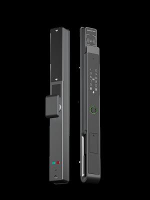 China Face / Palm Vein Smart Mortise Lock 7-em-1 Desbloqueio IP65 BKFDS Alumínio à venda