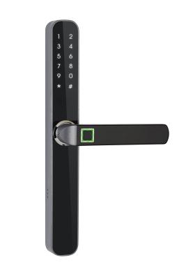 China IP65 Antifreeze Frame Alumínio impressão digital porta de vidro Smart Lock à venda