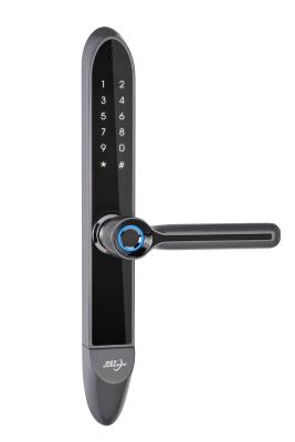 China IP65 Antifreeze Frame Alumínio impressão digital porta de vidro Smart Lock à venda