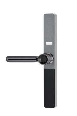 China IP65 Antifreeze Frame Alumínio impressão digital porta de vidro Smart Lock à venda