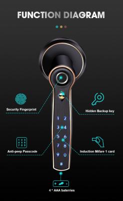 Cina Chiusura a doppia serratura Chiusura a scuderia Chiusura a porta intelligente Chiusura a porta FPC Stampa digitale in vendita