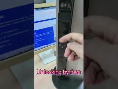 Gezicht / Palm Vein Smart Mortise Lock 7-in-1 ontgrendeling IP65 BKFDS Aluminium