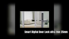 Smart Digital Door Lock Ultra-thin 25mm APP lock for screen doors
