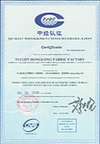 ISO9001:2008 - Tianjin Honglong Fabric Factory