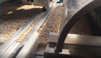 China Automatic Sesame Candy Bar Cutting Machine / Snack Food Making Machine for sale