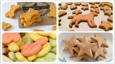 Cina Fabbricazione di biscotti automatica industriale dell'alimentazione del cane dell'impiantistica per la lavorazione degli alimenti dell'animale domestico in vendita