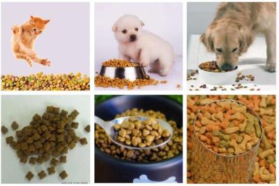 Cina SpA di Siemens della macchina dell'espulsore dell'alimento per animali domestici & touch screen automatizzati industriale controllati in vendita