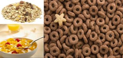 Cina Linea di produzione nutrizionale dei fiocchi di mais degli alimenti a rapida preparazione, piccola macchina dei fiocchi di mais in vendita
