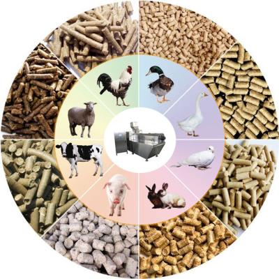 Cina Sovracorrente e surriscaldamento automatici completi di sovraccarico della macchina di produzione di cibo per cani in vendita