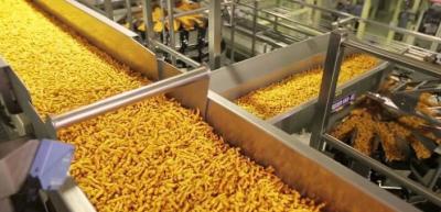 Cina Produzione alimentare ad alta velocità del soffio della macchina dell'espulsore dello spuntino del cereale di grande capacità in vendita