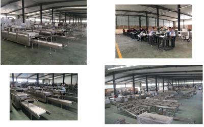 Cina Dado Antivari di energia che fa la linea di produzione/lunga vita della macchina Candy dell'arachide in vendita