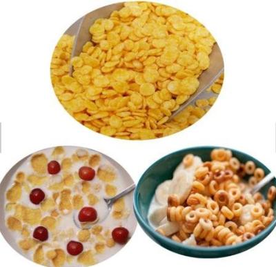 Cina Grande linea di produzione dei fiocchi di mais di capacità/linea di trattamento cereali da prima colazione in vendita