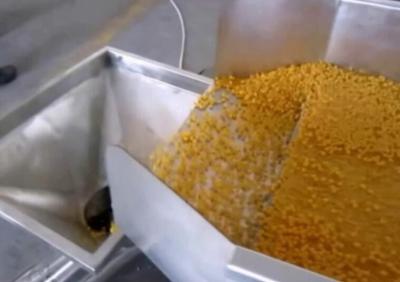 Cina Linea di produzione efficiente dei fiocchi di mais con il sistema di controllo di temperatura automatica in vendita