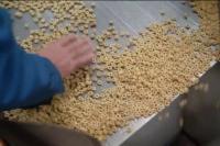 China Fully Automatic Maize Flakes Making Machine , Breakfast Cereal Production Line for sale