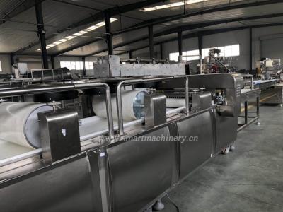 Cina Frutta Antivari/macchina snack bar, linea di produzione di Antivari del cereale di muesli per CE in vendita