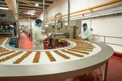China Van de het Graangewassenbar van de chocoladedeklaag de Snijmachine Almomds/Pinda/Sesam de Productie van de Suikergoedbar Te koop