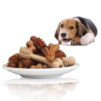 China Molded Pet Snacks Automatic Injection Moulding Machine / Equipment for sale