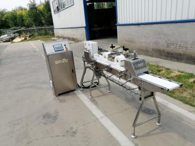 Cina macchina di 2.2Kw 60pcs/Min Buckwheat Cereal Bar Making in vendita