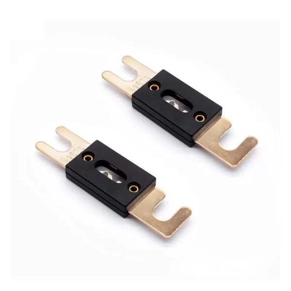 Piastra d'oro ANL Stud Mount Bolt Down Fuse 100A 125A 150A 200A 250A 300A 350A 400A 450A 500A Per l'automobile Marina Audio Video Auto