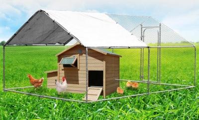 China Sun Protection Roof 4mx3m Dog Crate Chicken Coop for sale