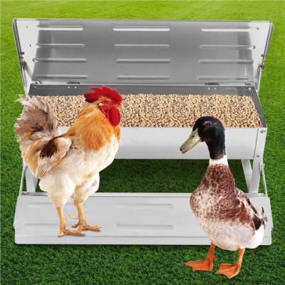 China CE outdoor Metal Iron L53cm Automatic Timer Chicken Feeder for sale