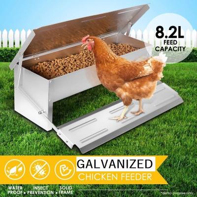 China CE Anti Feed Theft 5kgs Automatic Timer Chicken Feeder for sale