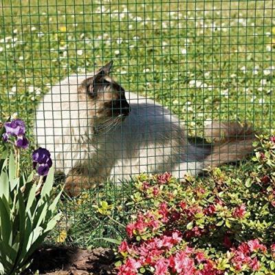 China PVC Coated 1x1in Hole Chicken Mesh Fencing for sale