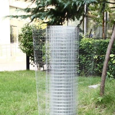China 1"X1" Chicken Mesh Fence for sale