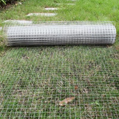China 1"X1" Chicken Mesh Fence for sale