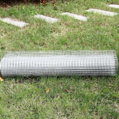 China 1"X1" Chicken Mesh Fence for sale