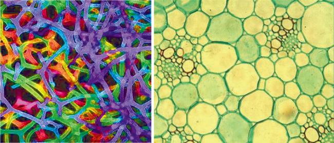 610 Silicone Oil Polyurethane Foaming Additive application example