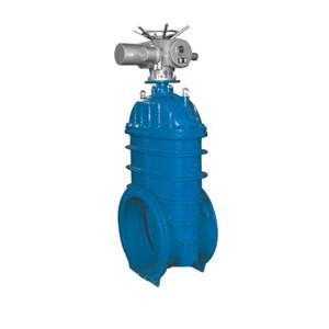China Resilient seated gate valve of power station valve for sale