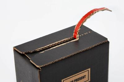 Cina Contenitore d'imballaggio ondulato di carta kraft della chiusura lampo dei cartoni per il commercio elettronico in vendita