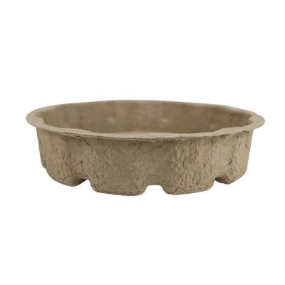 China Takeaway Paper Molded Pulp Packaging Tray Custom Biodegradable Food Grade zu verkaufen